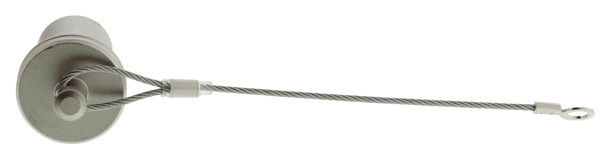 BRE.1K.200.NAS - Lemo - Connector Accessory, Blanking Cap, Lemo 1K