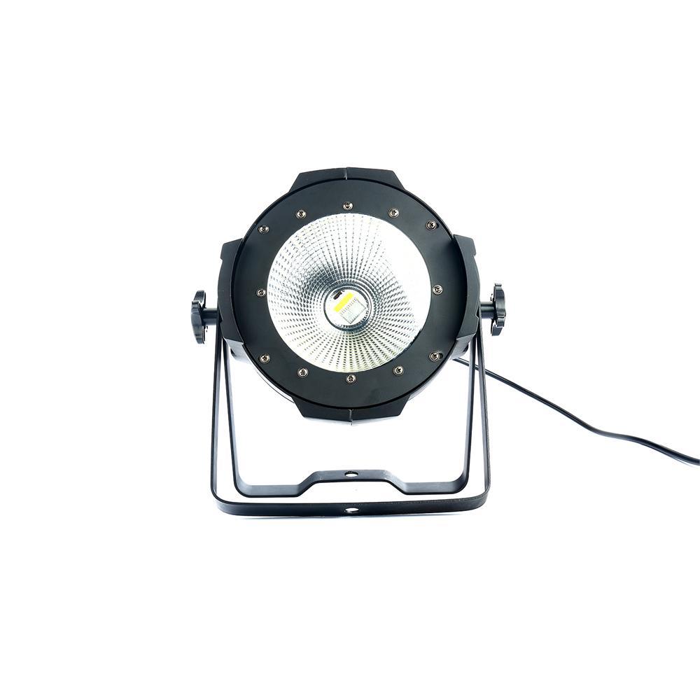 555-29780 - Pulse - LED COB Light 100 Watts RGBW